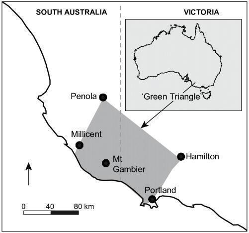 The Green Triangle Soon To Be Home To Australia’s Largest AI-Powered ...